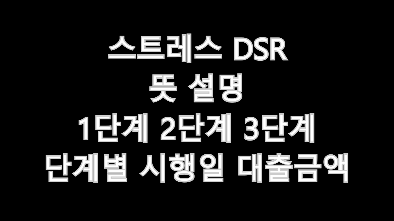 스트레스 DSR 뜻 설명 1단계 2단계 3단계 단계별 시행일 대출금액