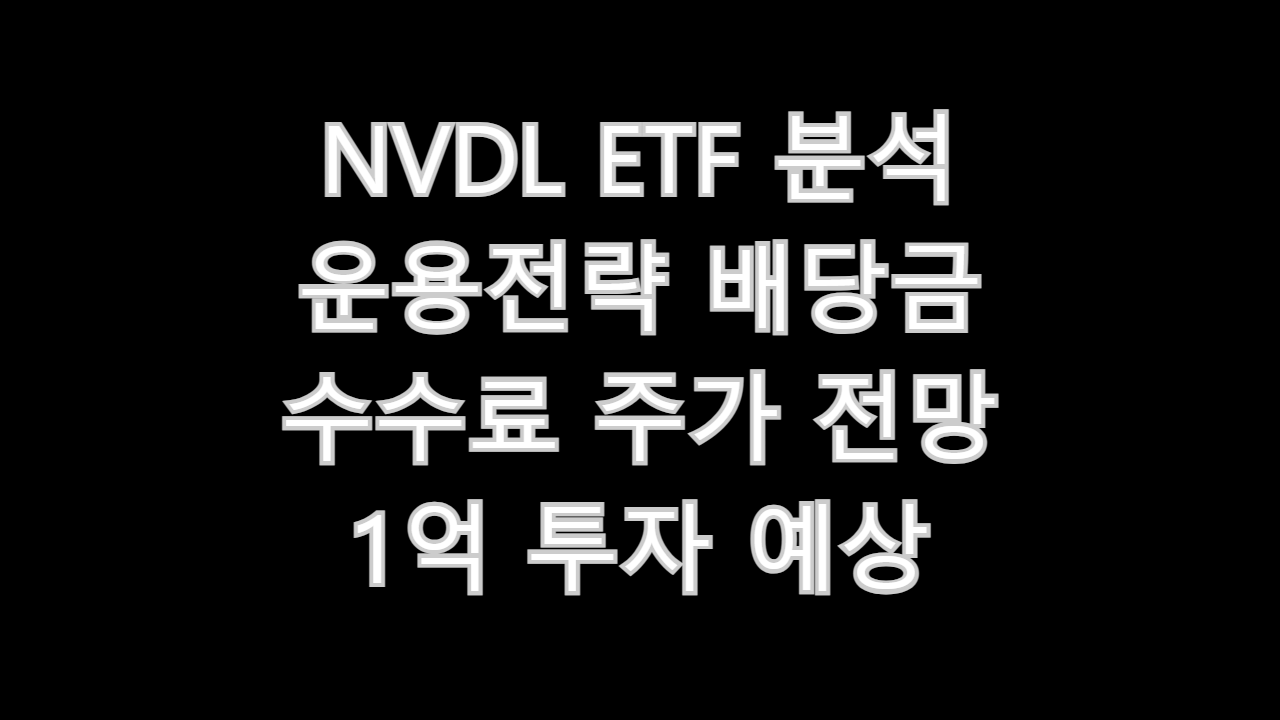 NVDL ETF 분석 운용전략 배당금 배당률 수수료 주가 전망 1억 투자 예상